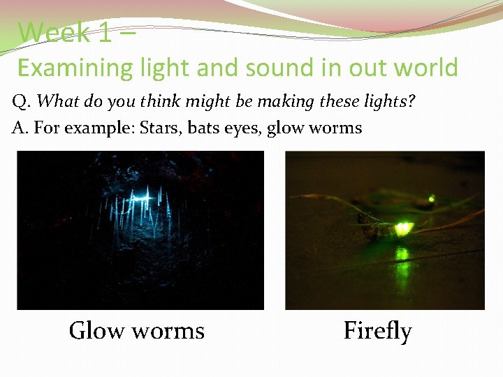 Science Term 4 Light and Sound Week 1