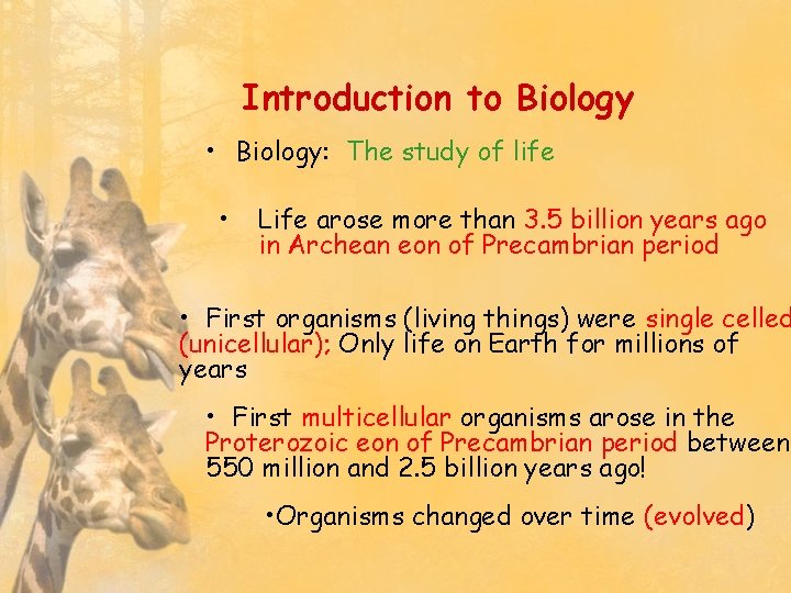 What is life reading DUE 19 Thurs Summary