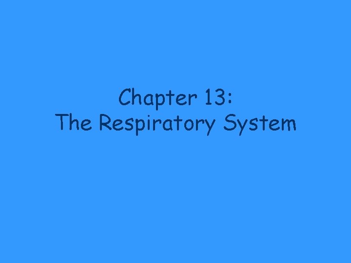 Chapter 13 The Respiratory System Organs Nose Pharynx