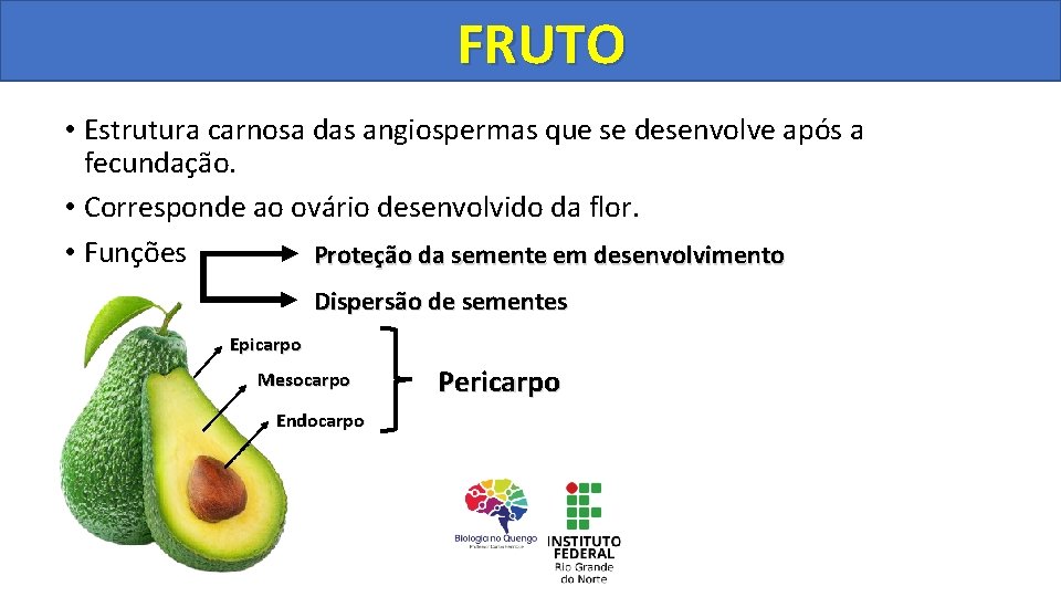 FRUTOS E PSEUDOFRUTOS PROFESSOR CARLOS HENRIQUE FLOR FRUTO