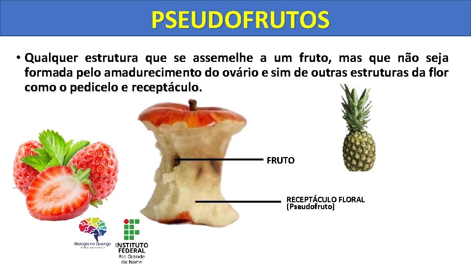 FRUTOS E PSEUDOFRUTOS PROFESSOR CARLOS HENRIQUE FLOR FRUTO