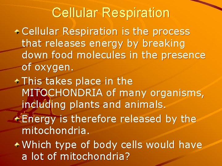 Cellular Respiration Cellular Respiration is the process that