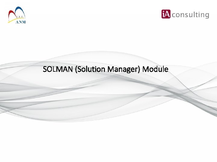 SOLMAN Solution Manager Module Apa Itu Modul SOLMAN