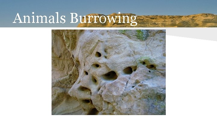 WarmUp Imagine dropping a sugar cube into a