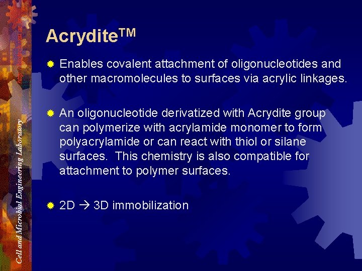 http biotech snu ac kr Cell and Microbial