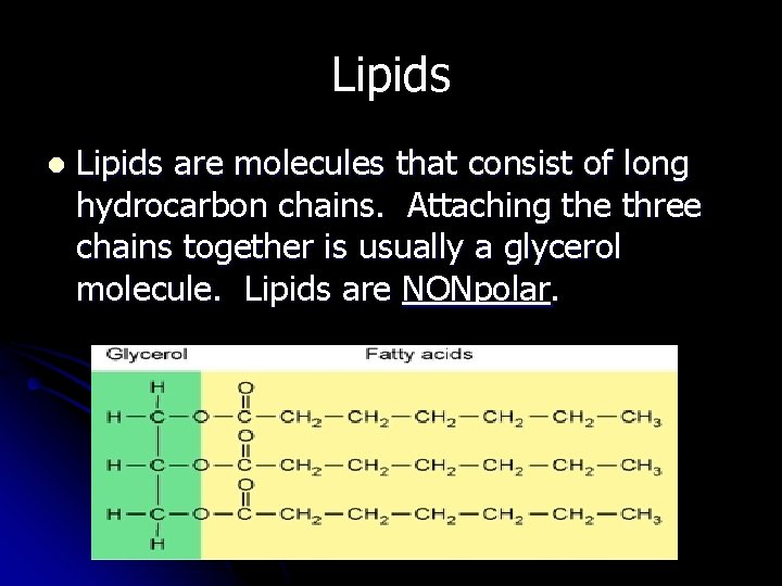 Biochemistry Carbohydrates Lipids Unit 3 Macromolecules l A