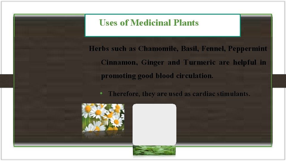 Uses of Medicinal Plants Introduction Treatment with medicinal