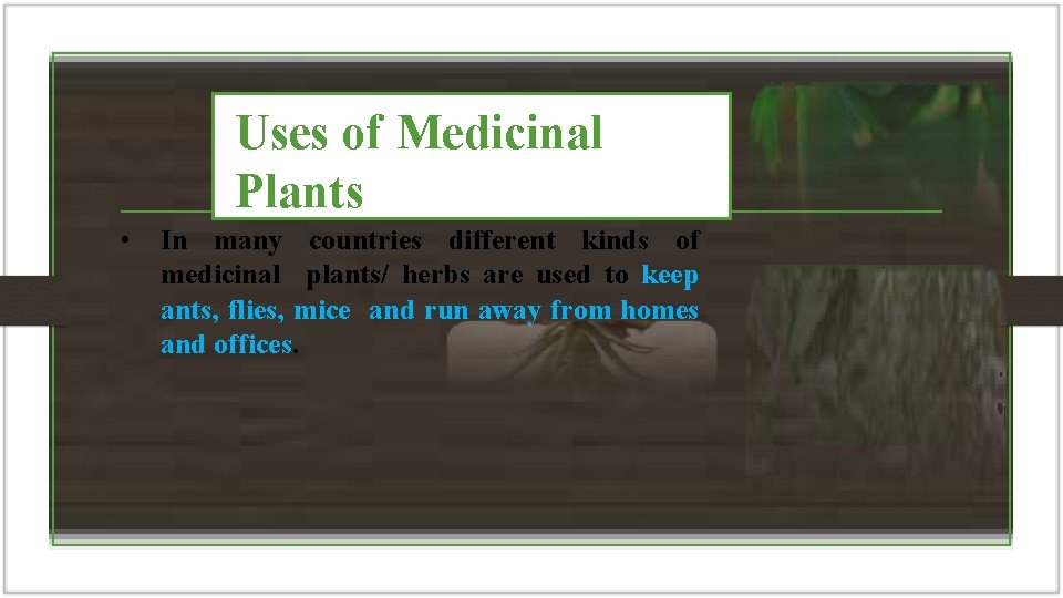 Uses of Medicinal Plants Introduction Treatment with medicinal