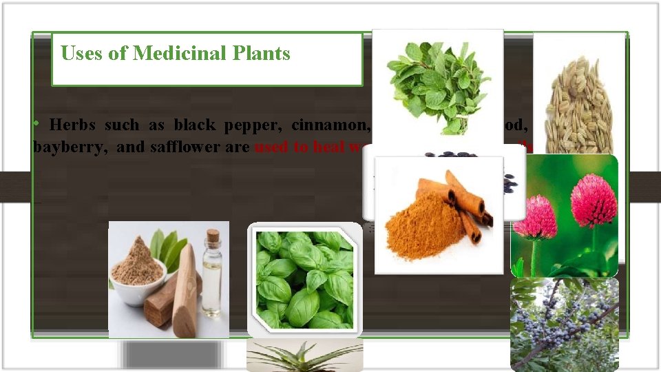 Uses of Medicinal Plants Introduction Treatment with medicinal