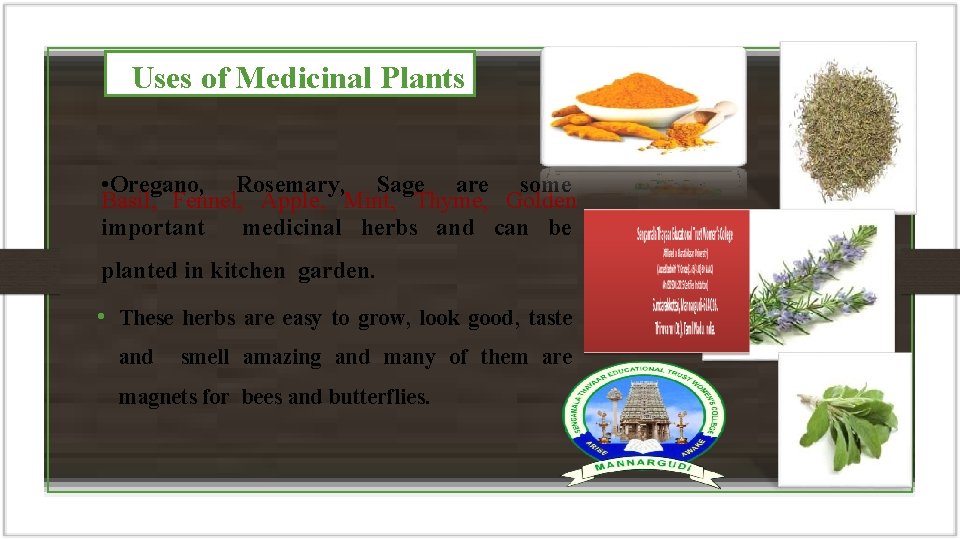 Uses of Medicinal Plants Introduction Treatment with medicinal