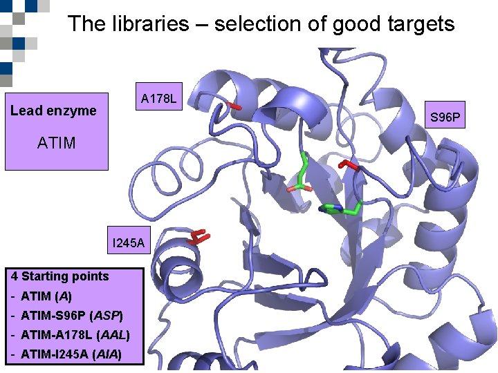 Modular Biocatalyst Platform for Chiral Synthesis of Chemical