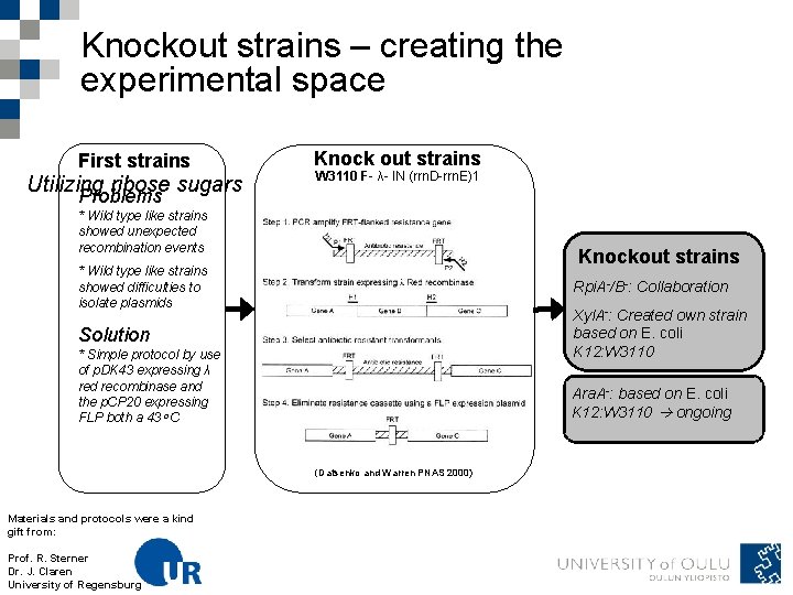Modular Biocatalyst Platform for Chiral Synthesis of Chemical