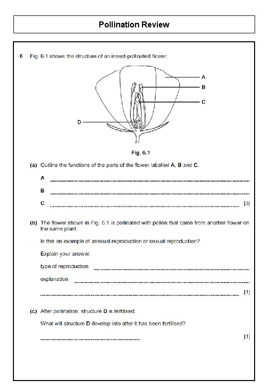 Year 9 Plant Reproduction Titum arum Rafflesia arnoldii