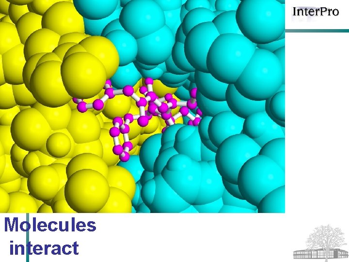 Valueadding Access and Use Biological Databases as a