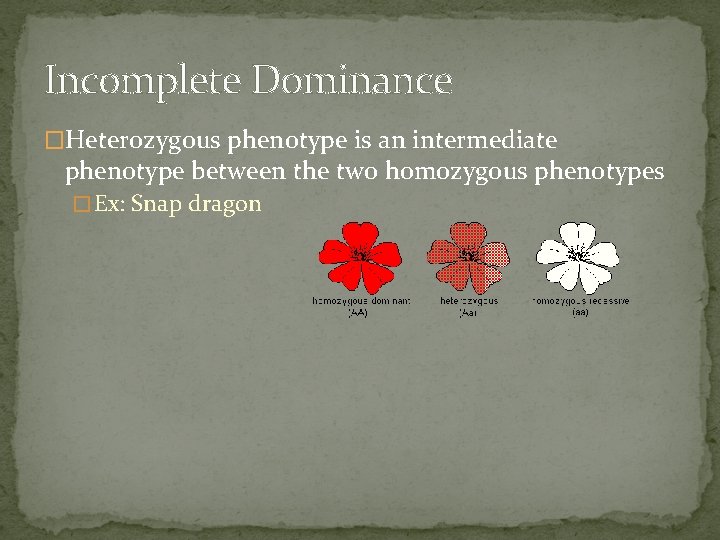 Complex Inheritance and Human Heredity Chapter 11 Basic