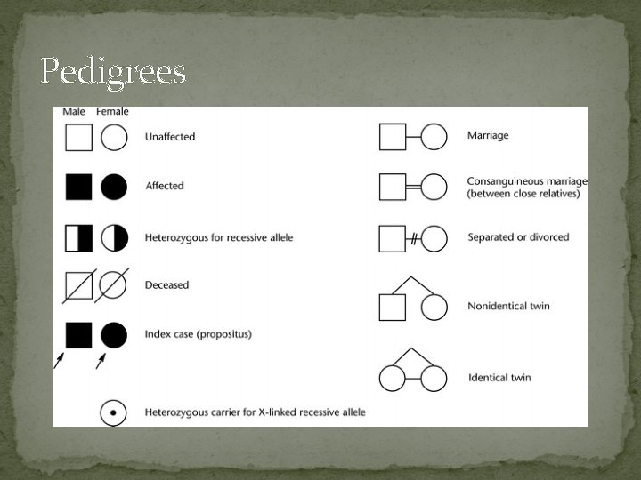 Complex Inheritance and Human Heredity Chapter 11 Basic