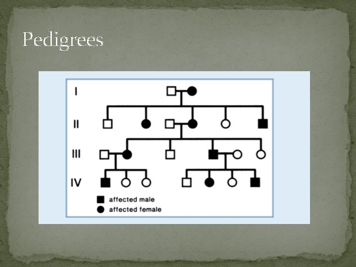 Complex Inheritance and Human Heredity Chapter 11 Basic