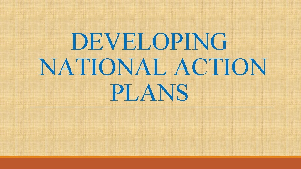 DEVELOPING NATIONAL ACTION PLANS Two main components 1
