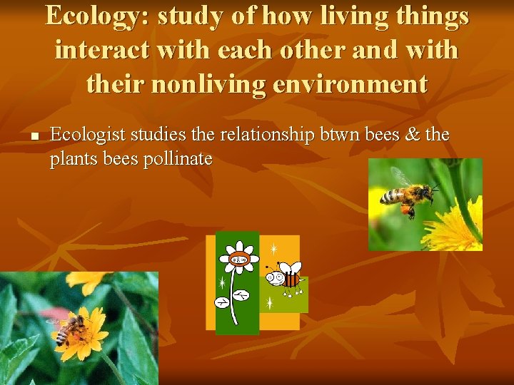 WHAT IS ENVIRONMENTAL SCIENCE IS IT n n