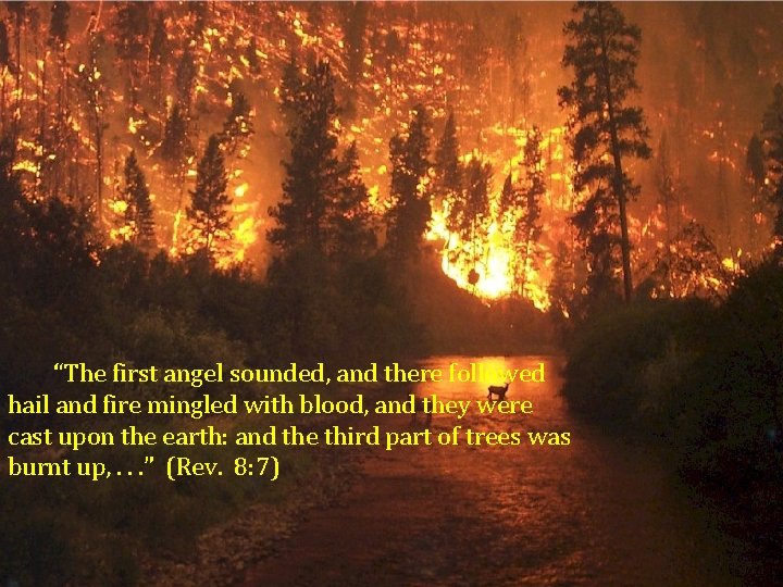 Prepared by Cooper Abrams Revelation 8 1 Silence