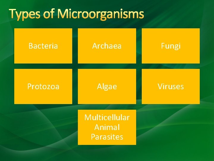 Types of Microorganisms Microbiology Unit 1 Types of