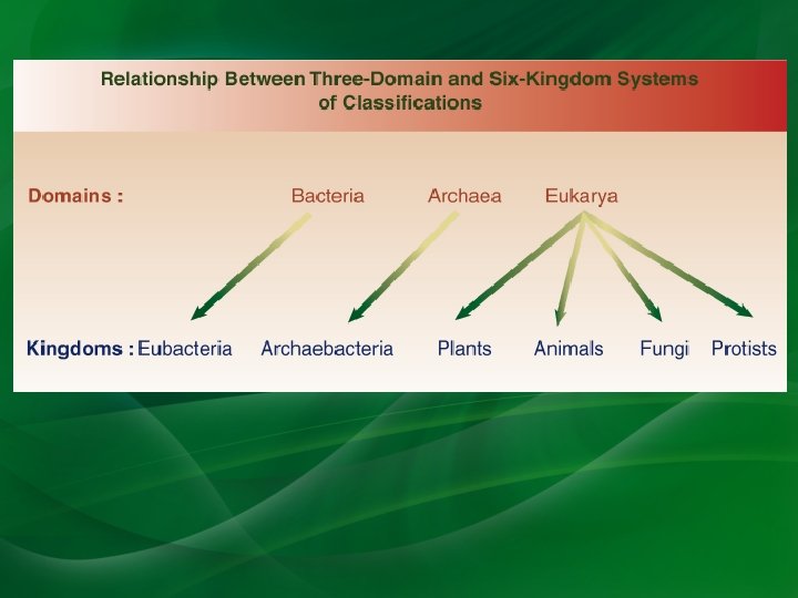 Types of Microorganisms Microbiology Unit 1 Types of