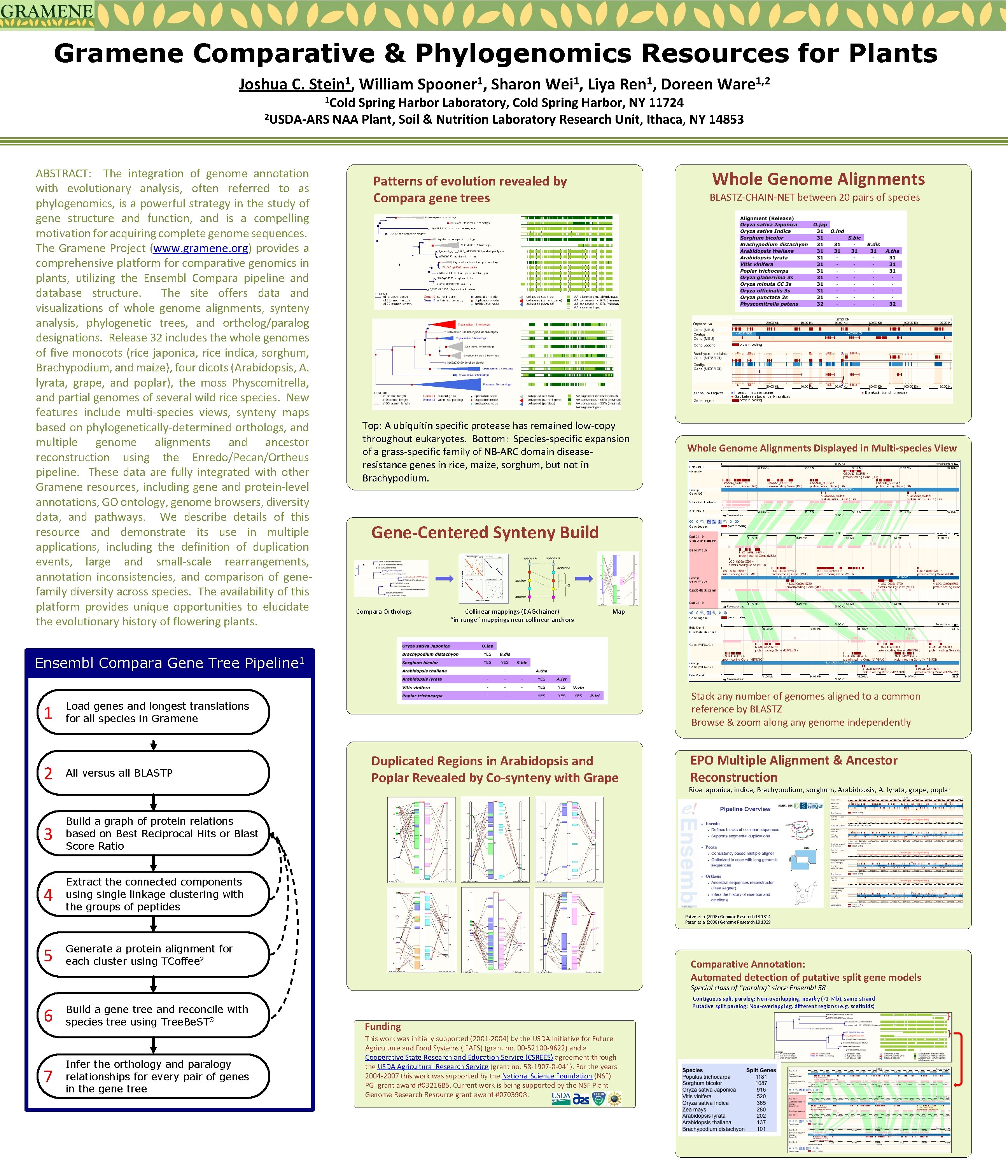 Gramene Comparative Phylogenomics Resources for Plants Joshua C