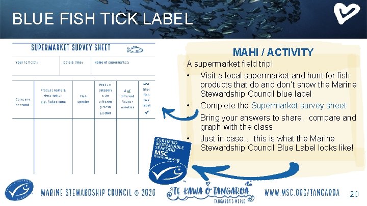 1 3 THE BLUE FISH TICK LABEL Focusing