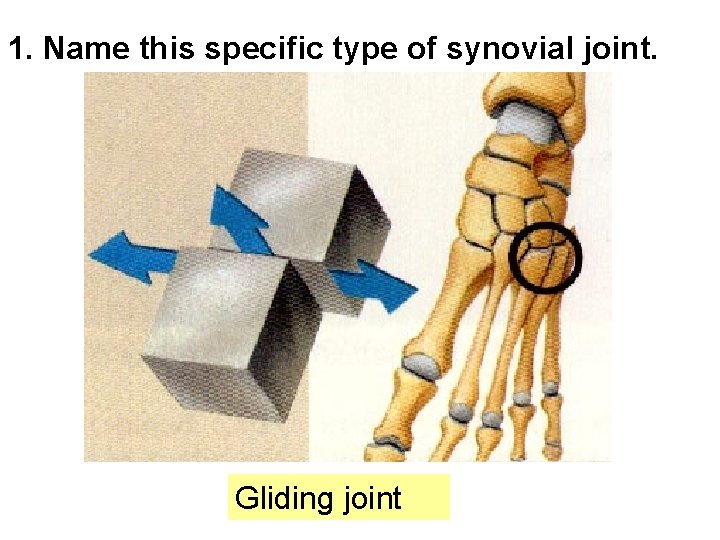 Go to the book web site and do