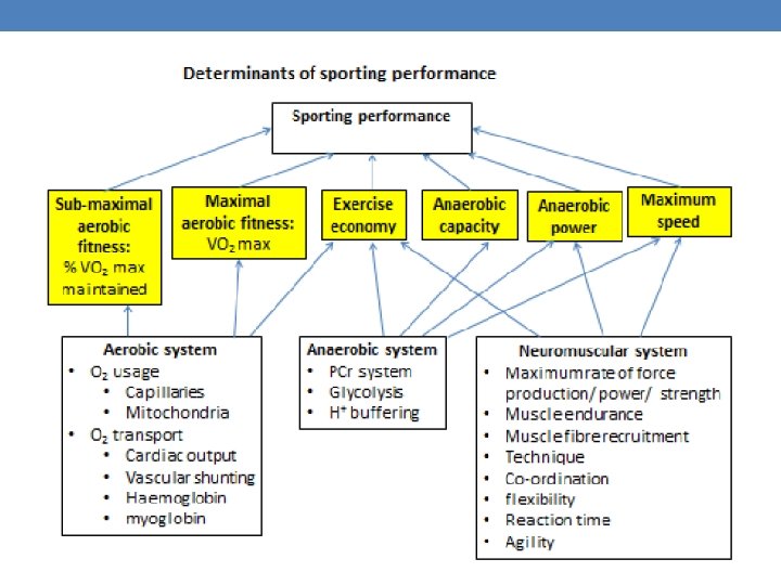 EXERCISE PHYSIOLOGY PREPARATION TRAINING METHODS COMPONENTS OF FITNESS
