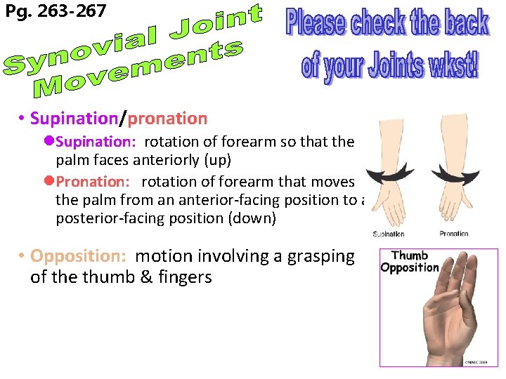 HUMAN ANATOMY Ch 9 JOINTS aka articulations Per