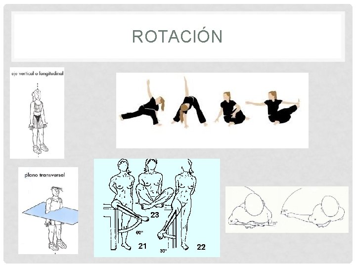 BLOQUE 2 2 SISTEMA ARTICULAR CONTENIDOS Ejes planos