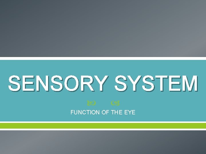 SENSORY SYSTEM FUNCTION OF THE EYE EYE Protected