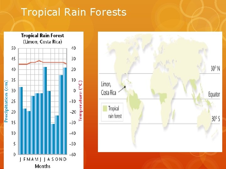 Biomes What is a Biome Biomes are large