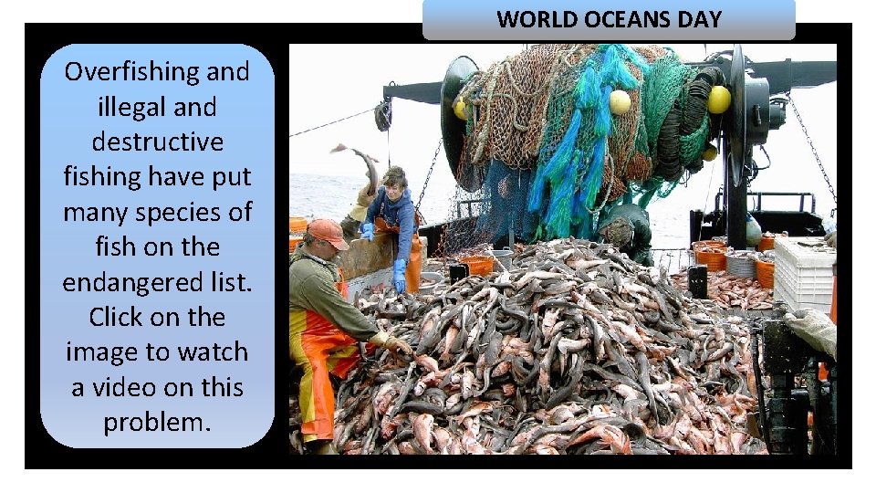 WORLD OCEANS DAY Overfishing and illegal and destructive