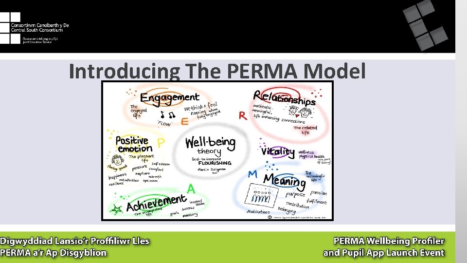 PERMA Wellbeing Tool Mi Space App My Journey