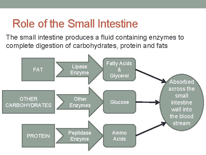 LIFESTYLE CHEMISTRY Part 5 The Solubility of Drugs