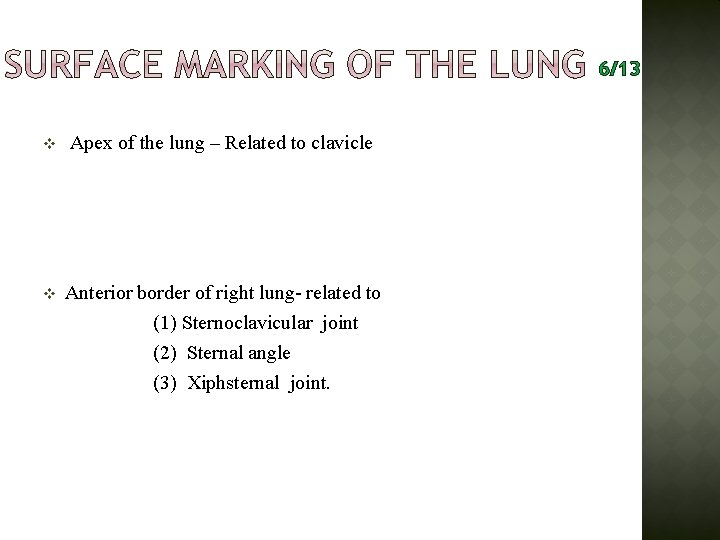 113 SURFACE MARKING OF LUNGS PLEURA BY DR