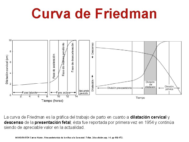 Atencin Parto y Puerperio 8 vo Semestre C