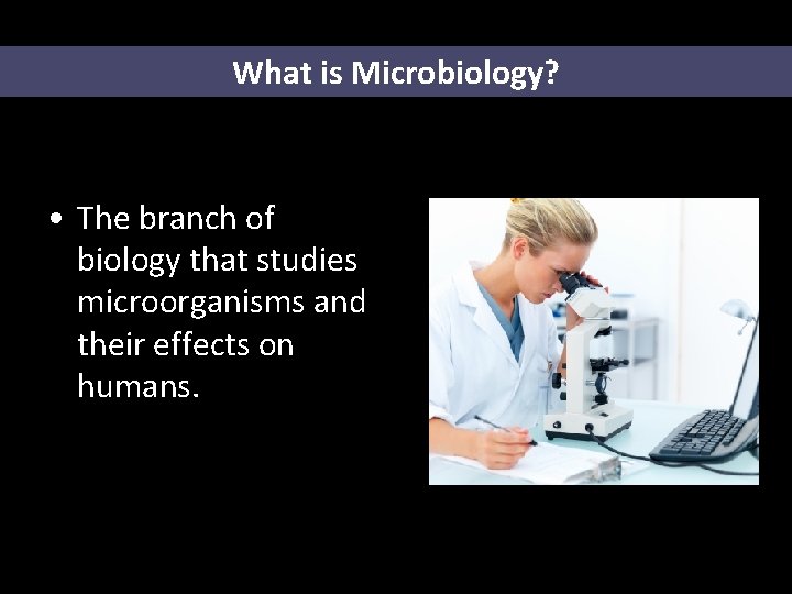 Microbiology Original Power Point Created By Dr Frank