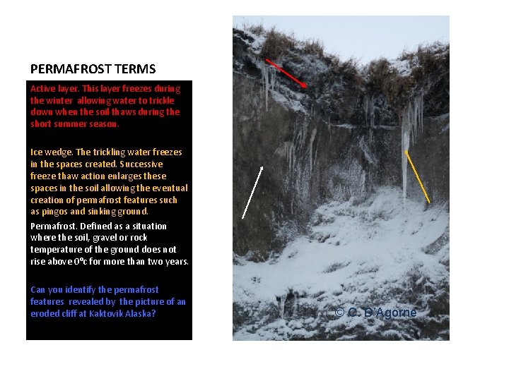 COASTAL EROSION REVEALS PERMAFROST AT KAKTOVIK ALASKA KAKTOVIK