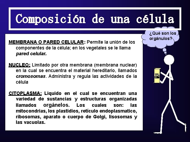 Composicin de una clula Qu son los MEMBRANA