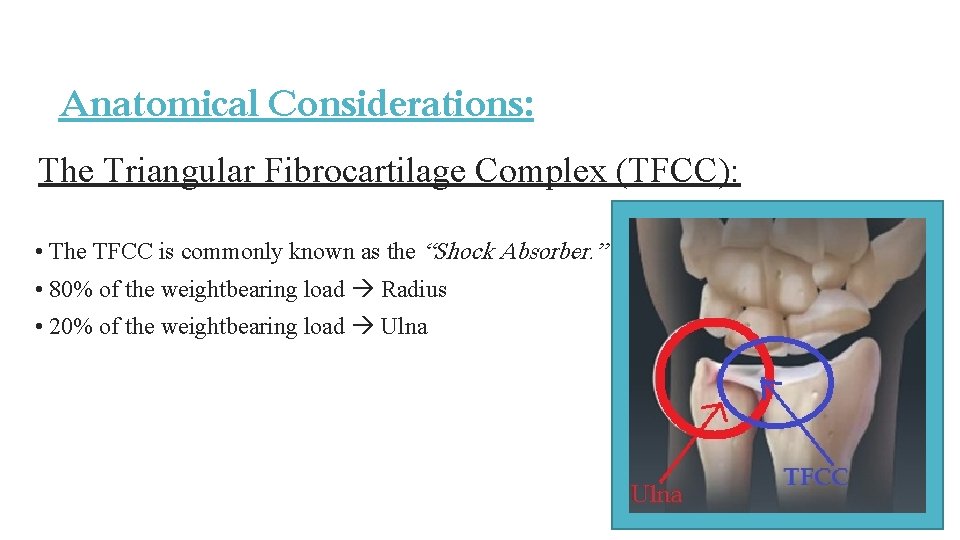 UlnarSided Wrist Pain in the Athlete Sarah A