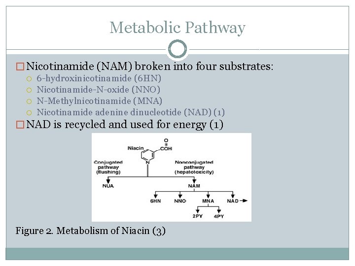 Niacin Vitamin B 3 PRESENTED BY MOLLY SANDMANN