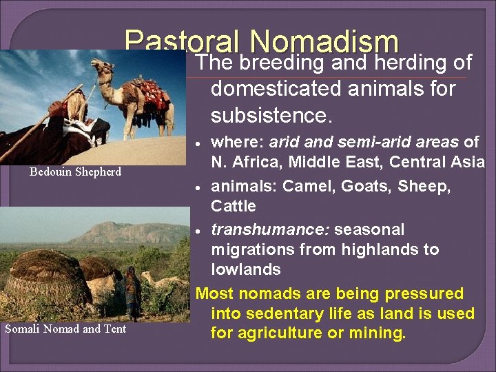 History of Agriculture HunterGatherers Neolithic Revolution ...