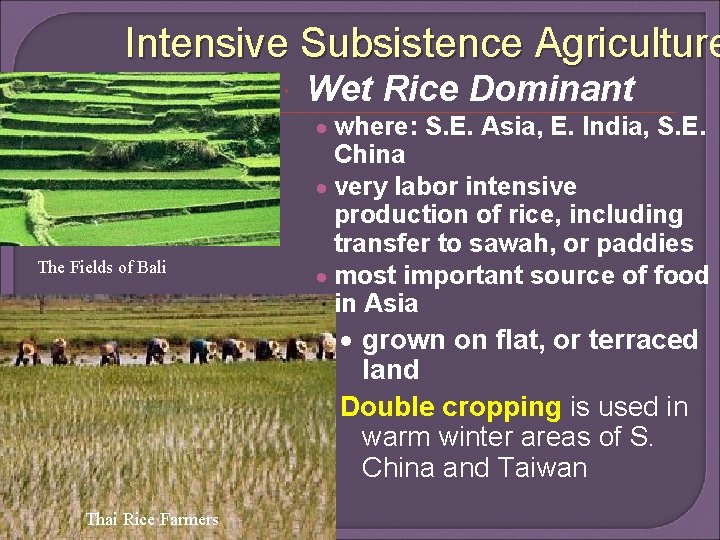 History of Agriculture HunterGatherers Neolithic Revolution ...