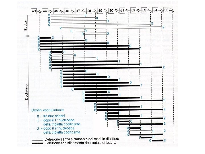 Il valore della esperienza non scaturisce tanto dalla