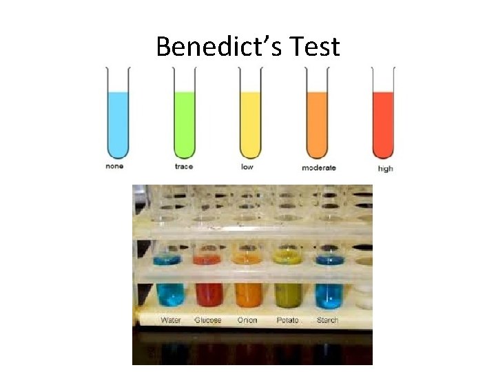 Macromolecule Tests INB Pg 27 Testing for Presence