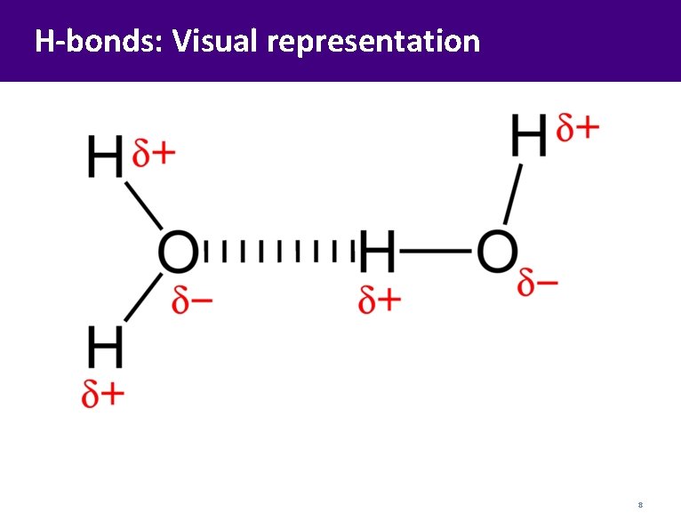 Water molecules are polar and hydrogen bonds form