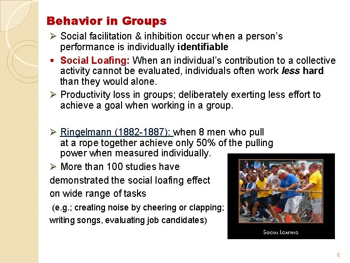 Chapter 10 Behavior in Groups q Basic Features